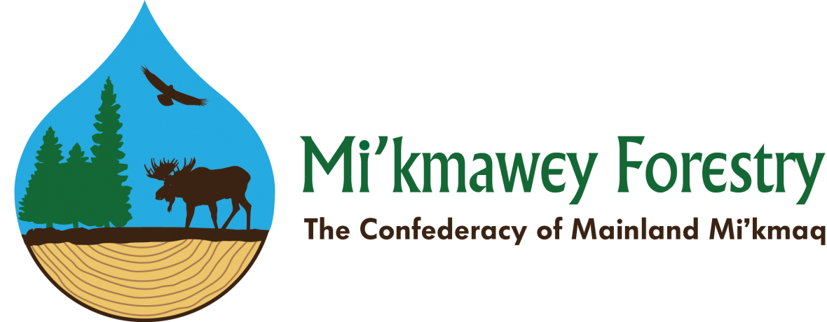 Resources | The Confederacy of Mainland Mi'kmaq